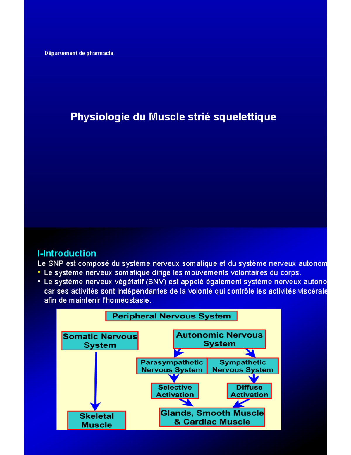 Physiologie du Muscle strié squelettique - Physiologie du Muscle strié squelettique Département ...