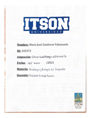 Testiculo y red de testis - Testículo y red testicular o rete testis ...