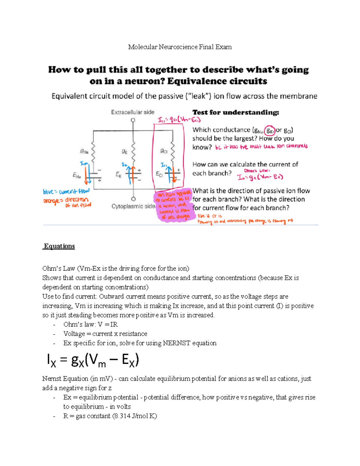 Molecular Final Exam Study Guide - Molecular Neuroscience Final Exam ...