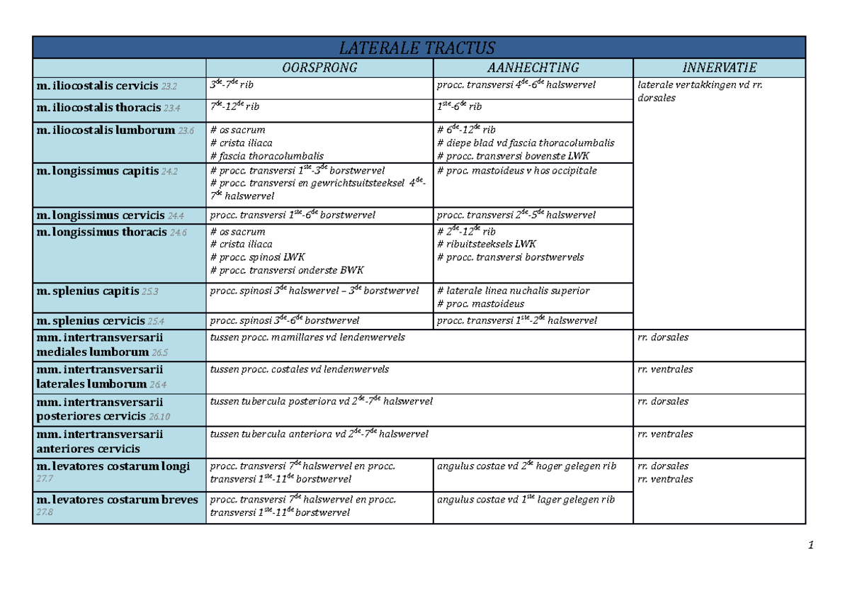 Rugspieren (1) (Hersteld) - LATERALE TRACTUS OORSPRONG AANHECHTING ...