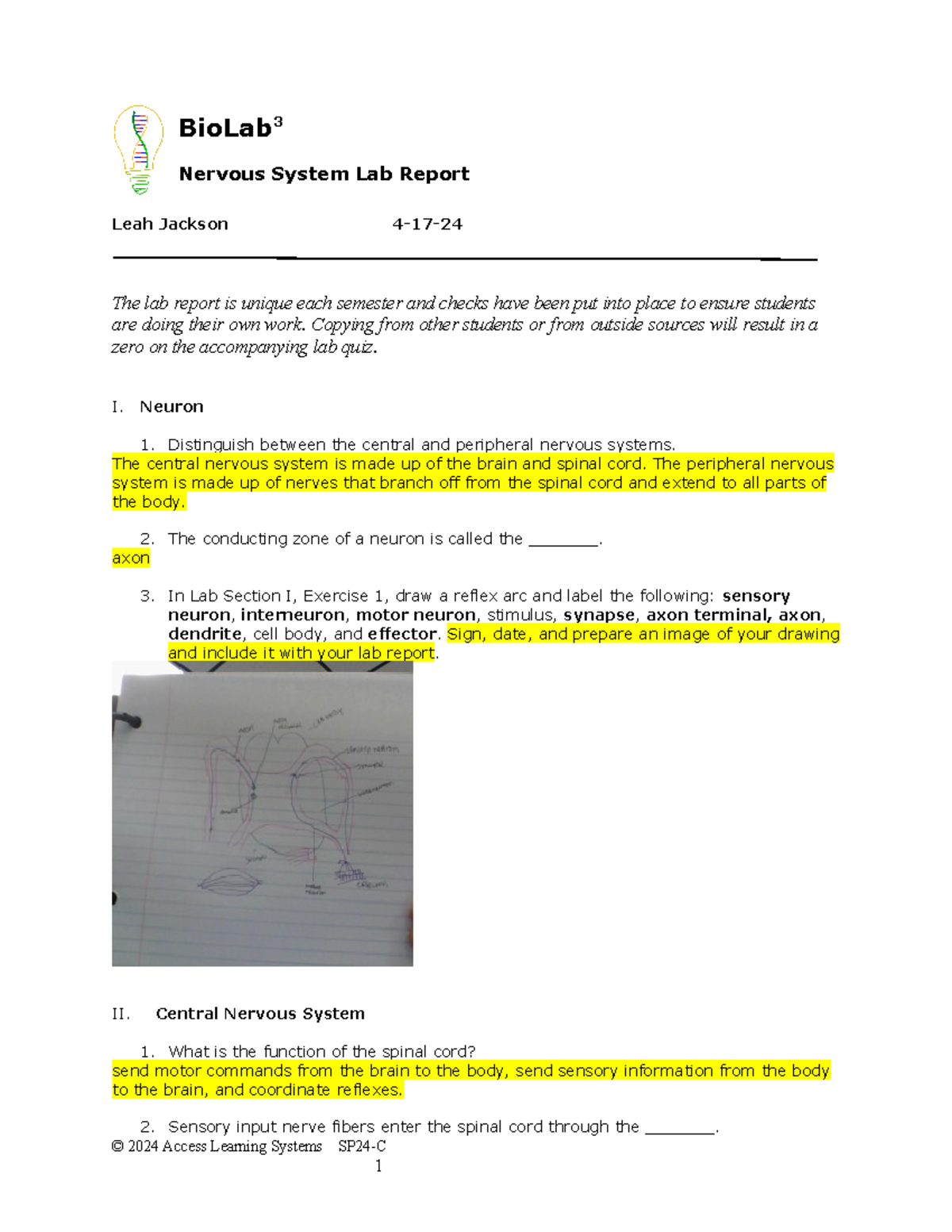 Nervous System LR - BioLab 3 Nervous System Lab Report Leah Jackson 4 ...
