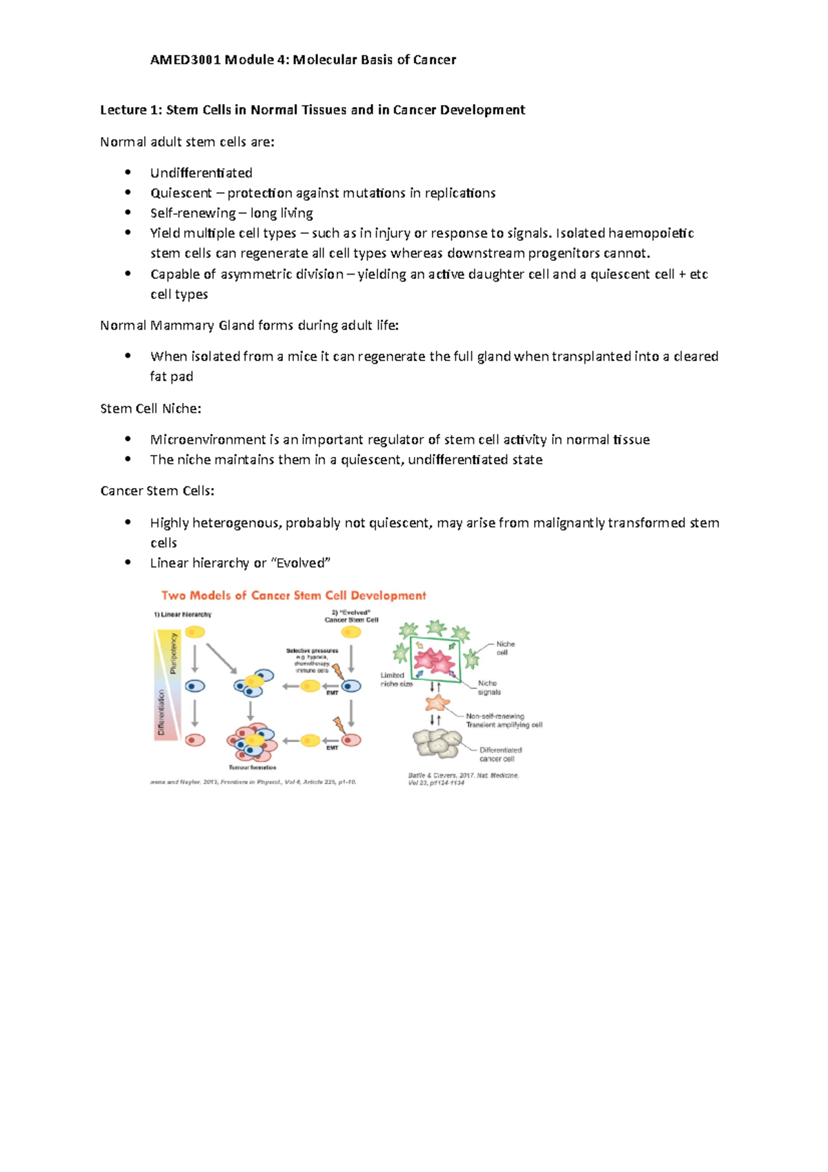 Module 4 Note - Cancer - AMED3001 Module 4: Molecular Basis of Cancer ...