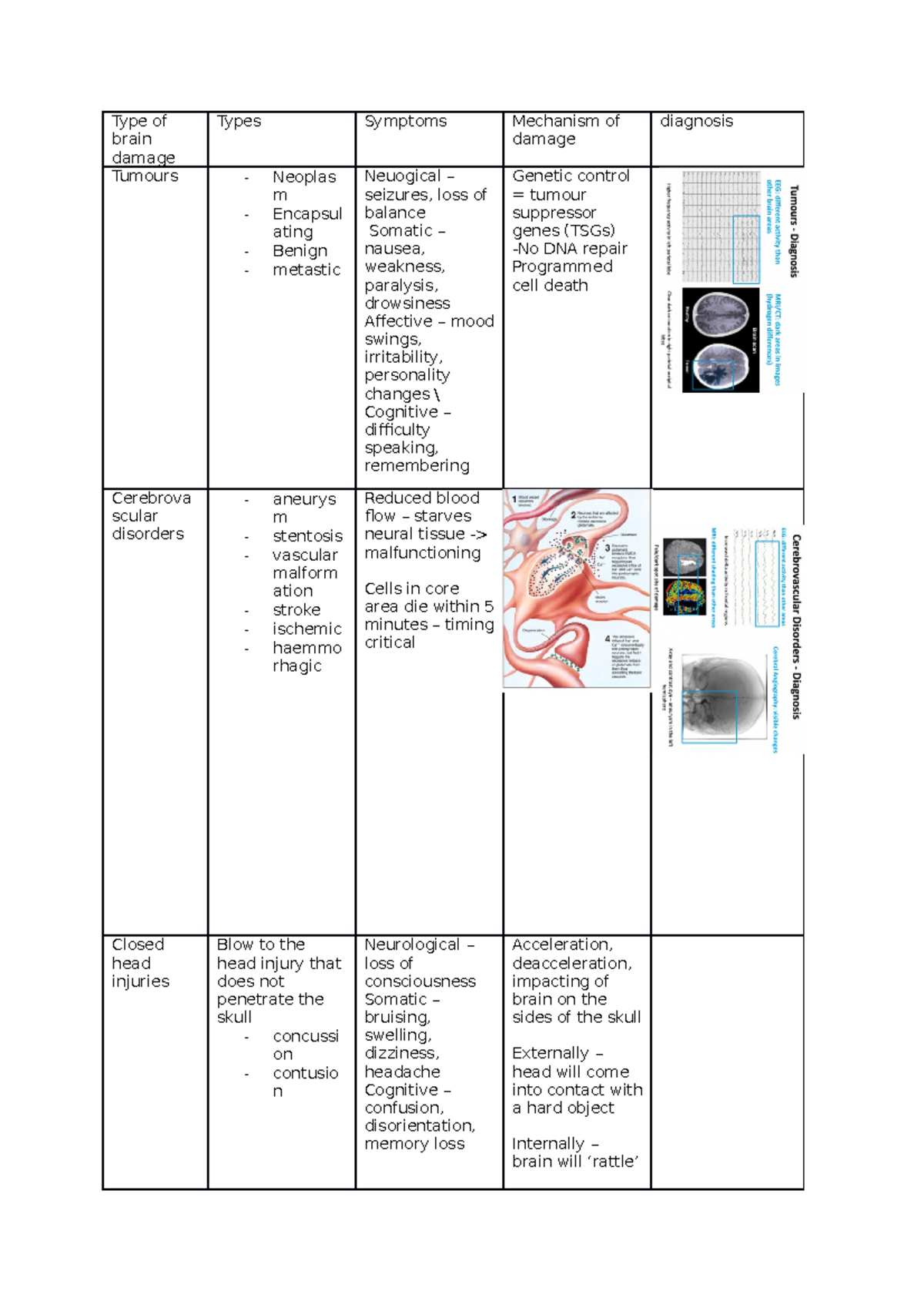 Type of brain damage - Type of brain damage Types Symptoms Mechanism of ...