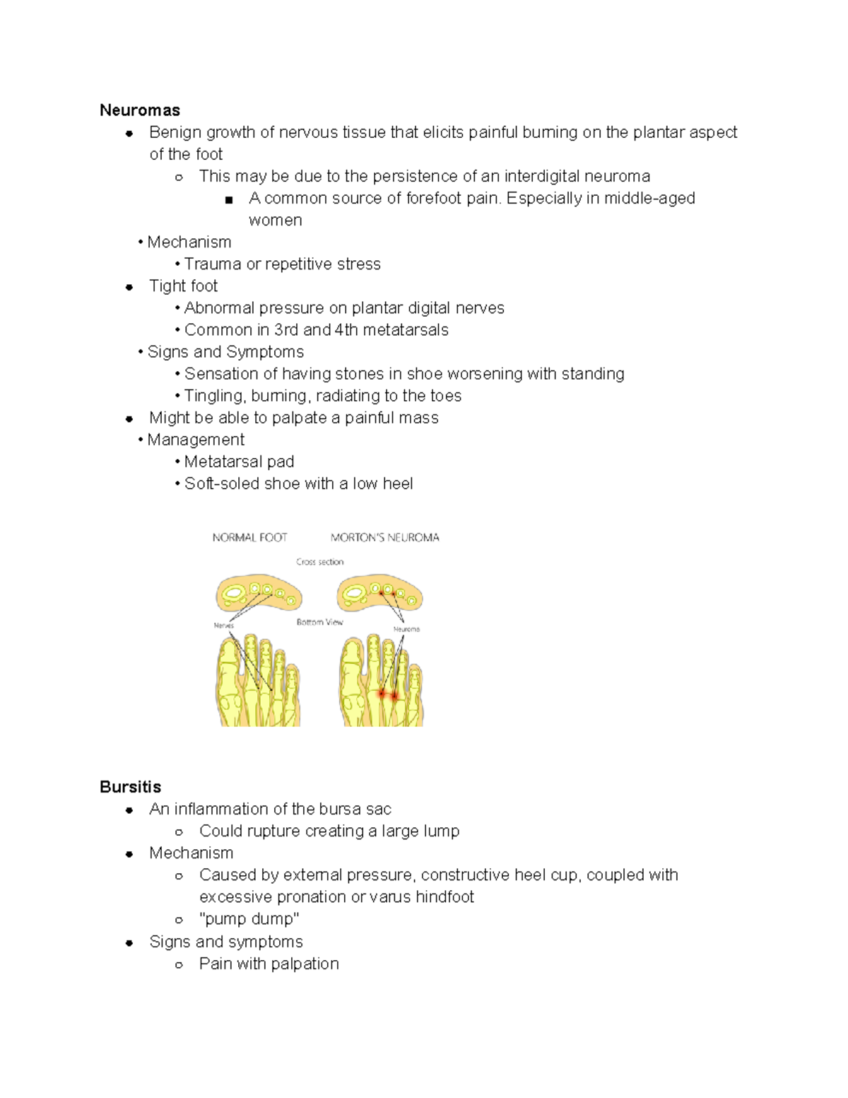 Foot, lower leg and ankle (pathologies) Exsc 4140 pt 1 - Neuromas ...