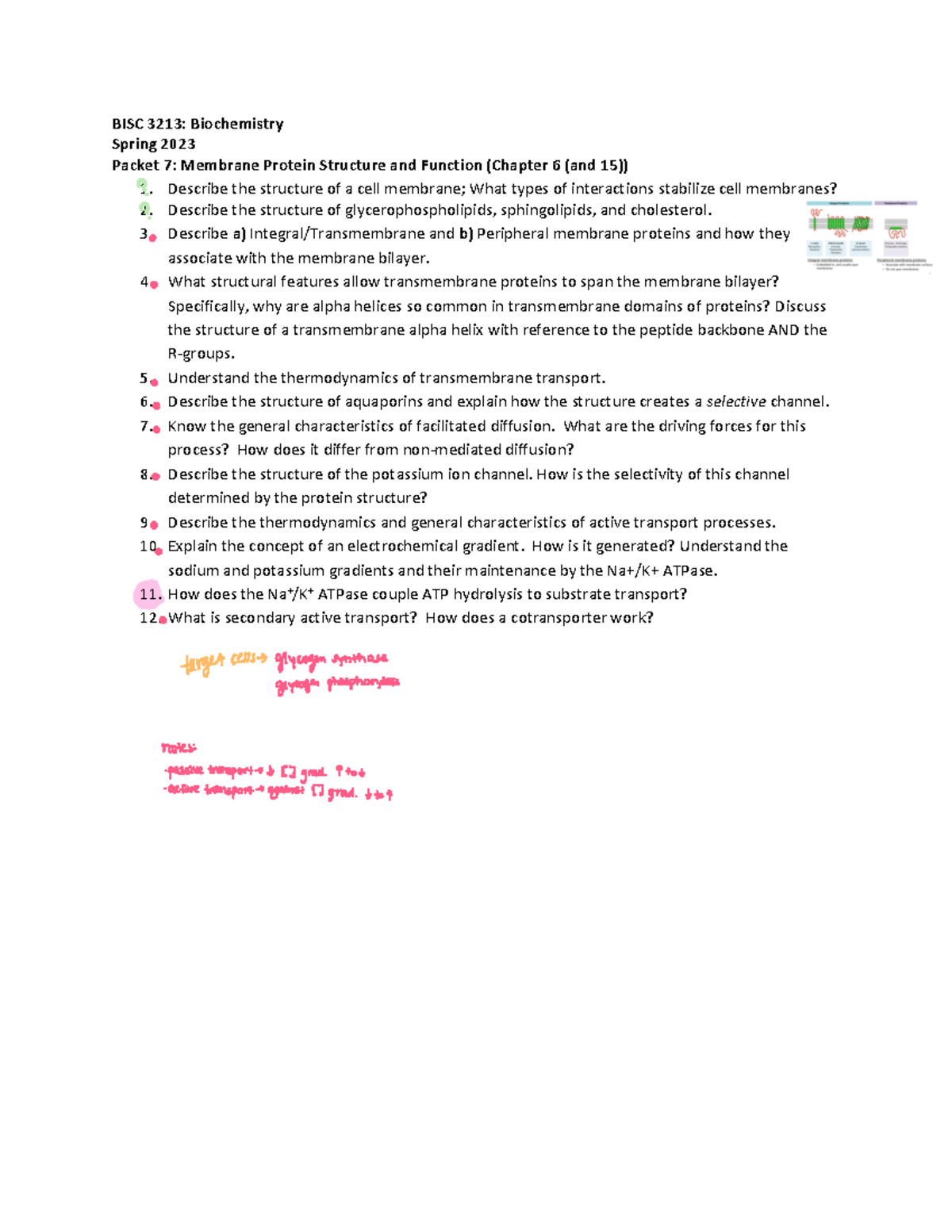 Packet 7. Membrane Protein structure and function - BISC 3213 ...
