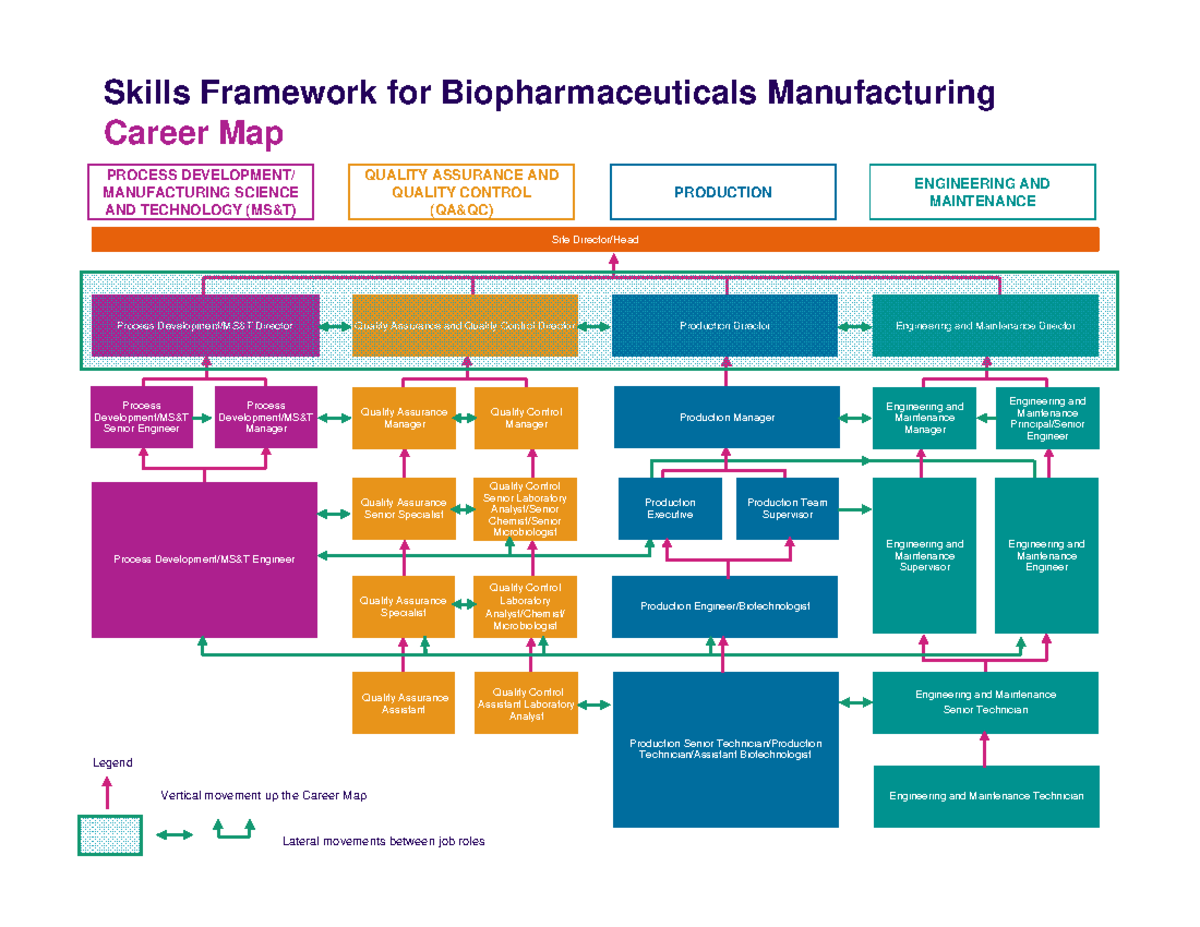 SF Biopharma Mfg Career Map Final v04 - Process Development/MS&T ...