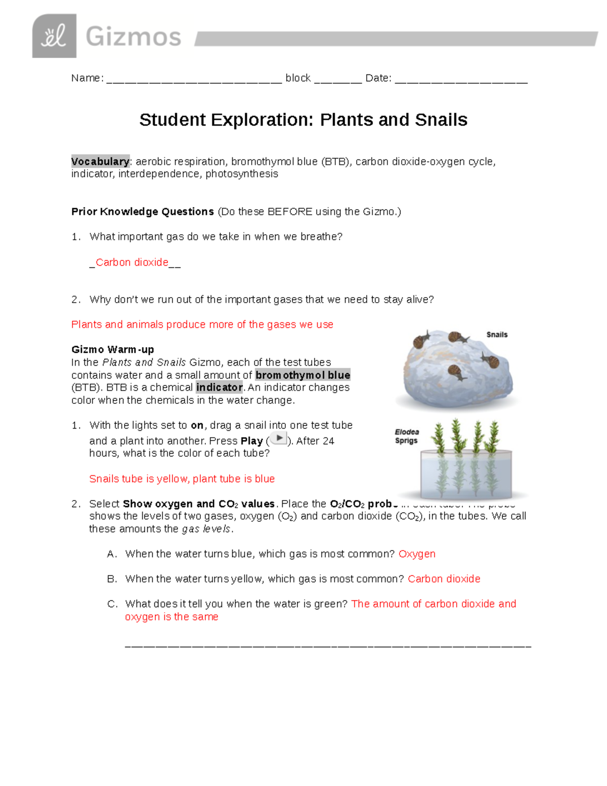 Gizmos Plants And Snails Answers Name 