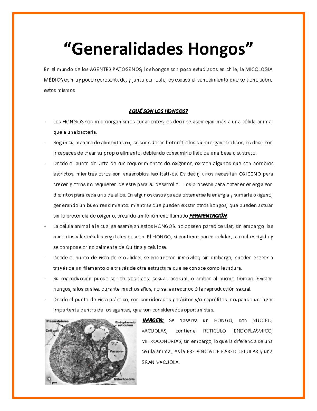 Clase 2 Generalidades Hongos 240313 213637 - “Generalidades Hongos” En ...