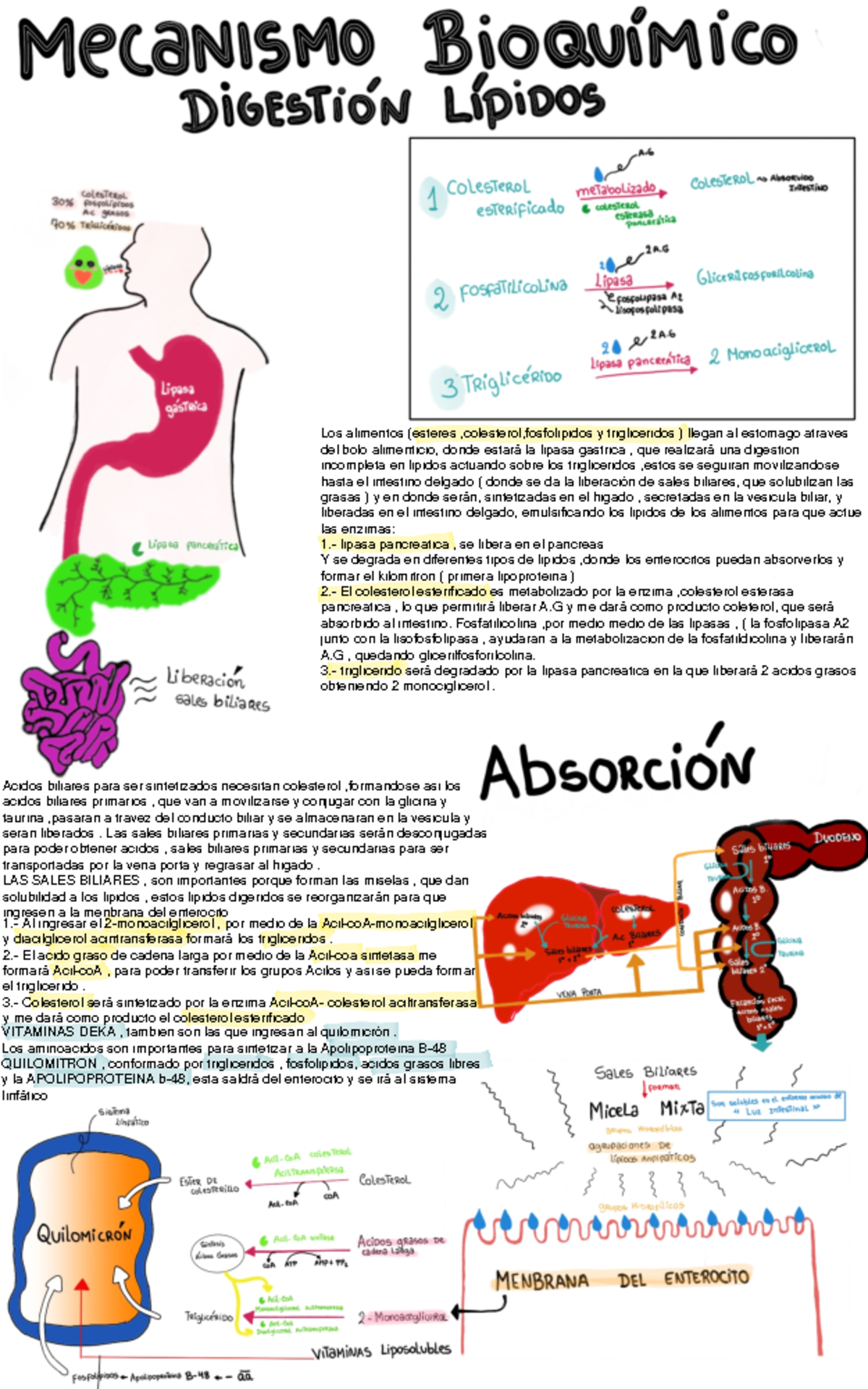 Tarea pb2 semanas 5 - Ffgcc ccvvbbhyrressxddffcvvg bbbbbhhhhyyrewwxcc ...