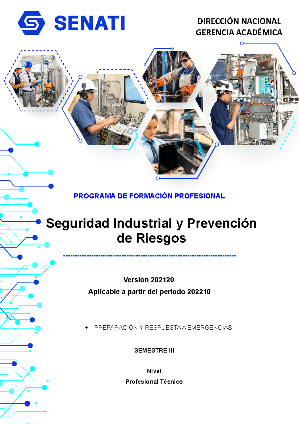 NSID NSID 309 Contenidos - Versión 202120 Aplicable a partir del ...