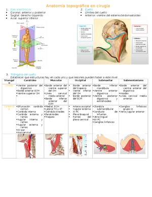 Cuál es la diferencia entre Lividez cadavérica y equimosis - ¿Cuál es ...