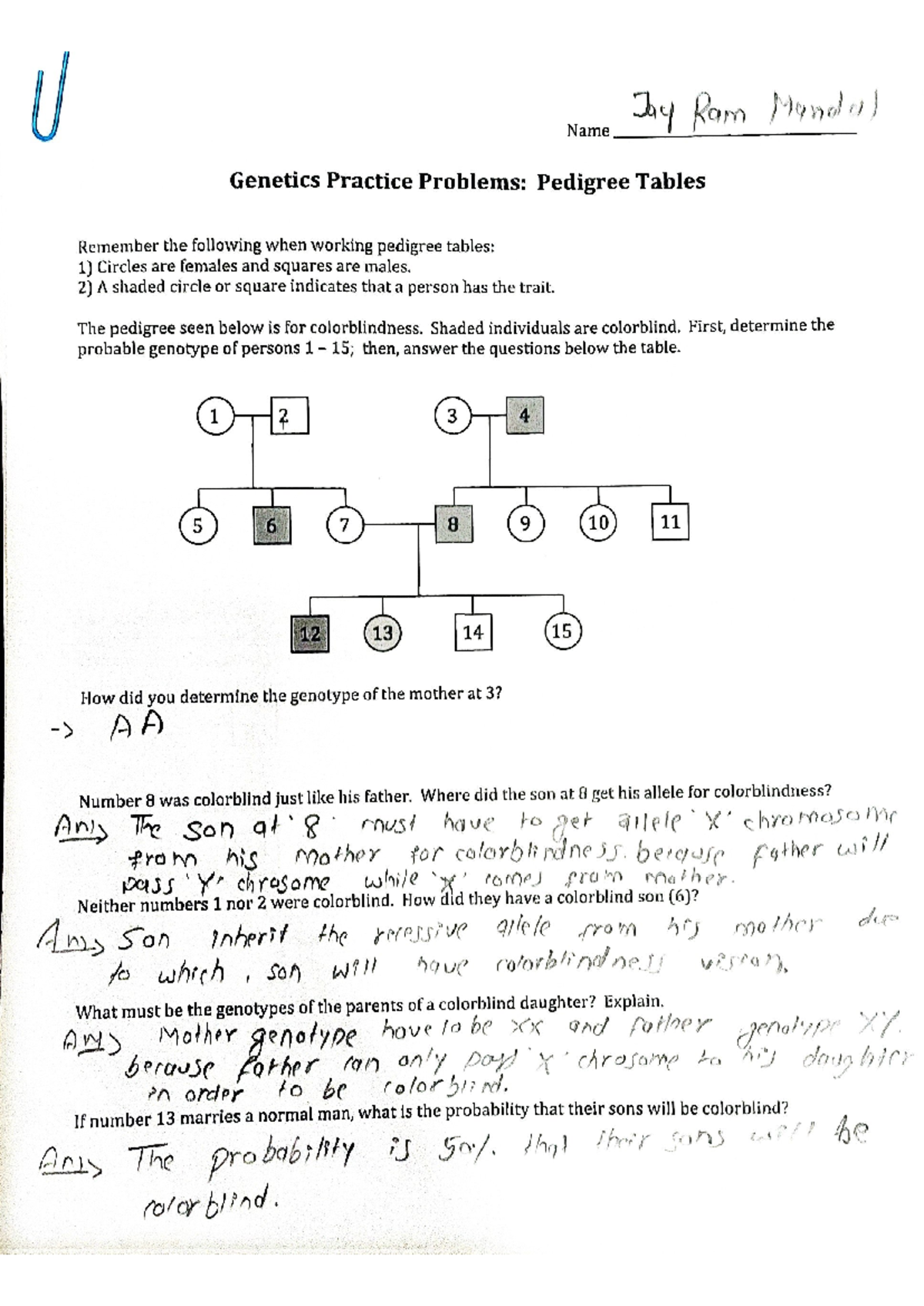 Pedigree tables - solution of genetics - Jay Ram Mandal Name Genetics ...