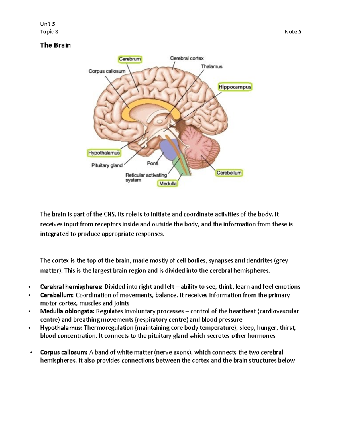 Note 5 The Brain - Topic 8 Note 5 The Brain The brain is part of the ...