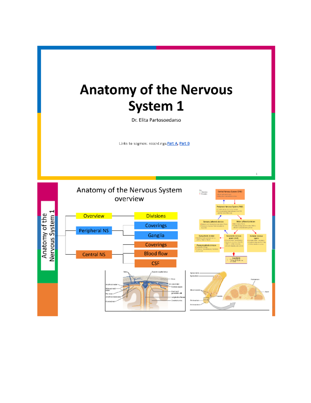 Lecture 16 Anatomy of the Nervous System 1 - HLSC1700 - Studocu
