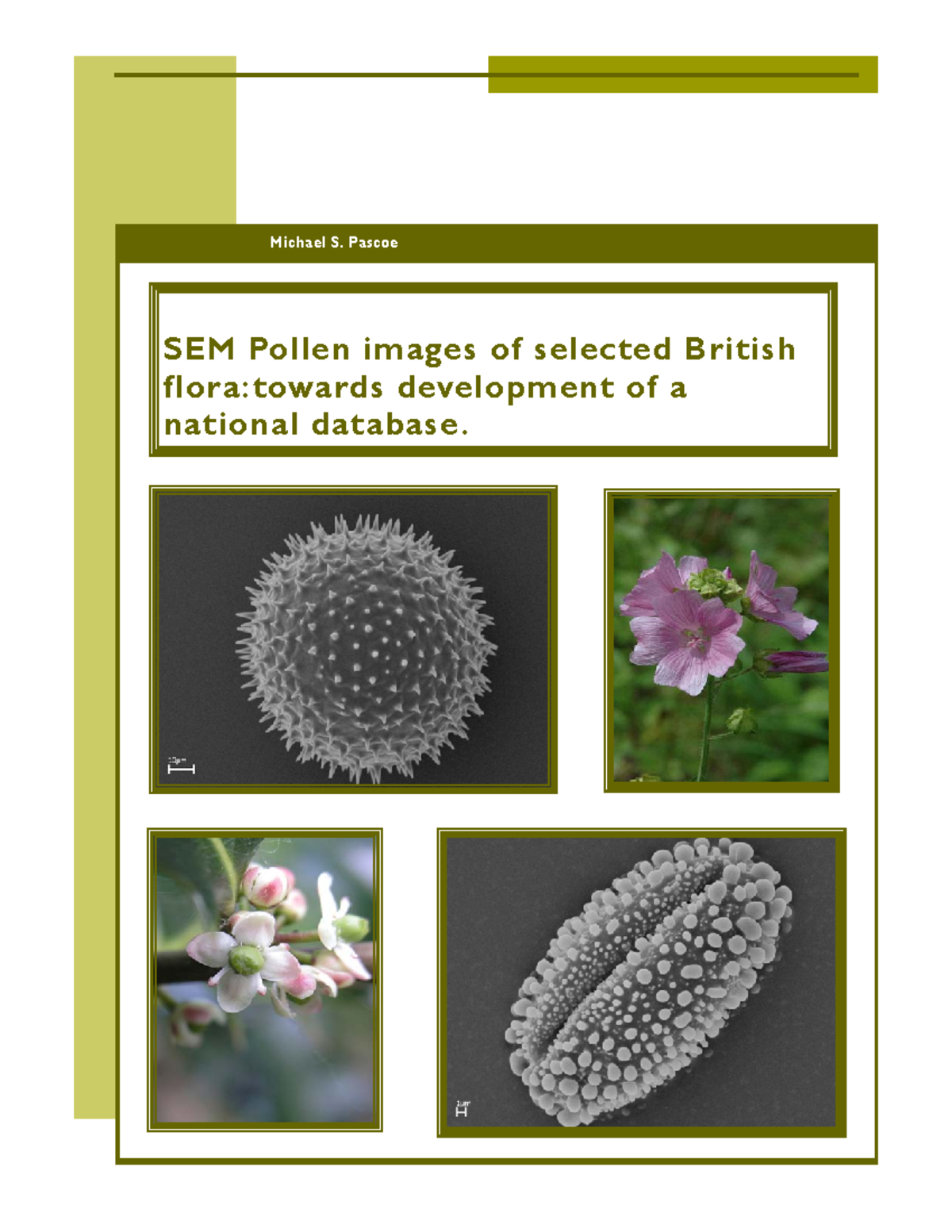 Pollen Project part I - Michael S. Pascoe SEM Pollen images of selected ...