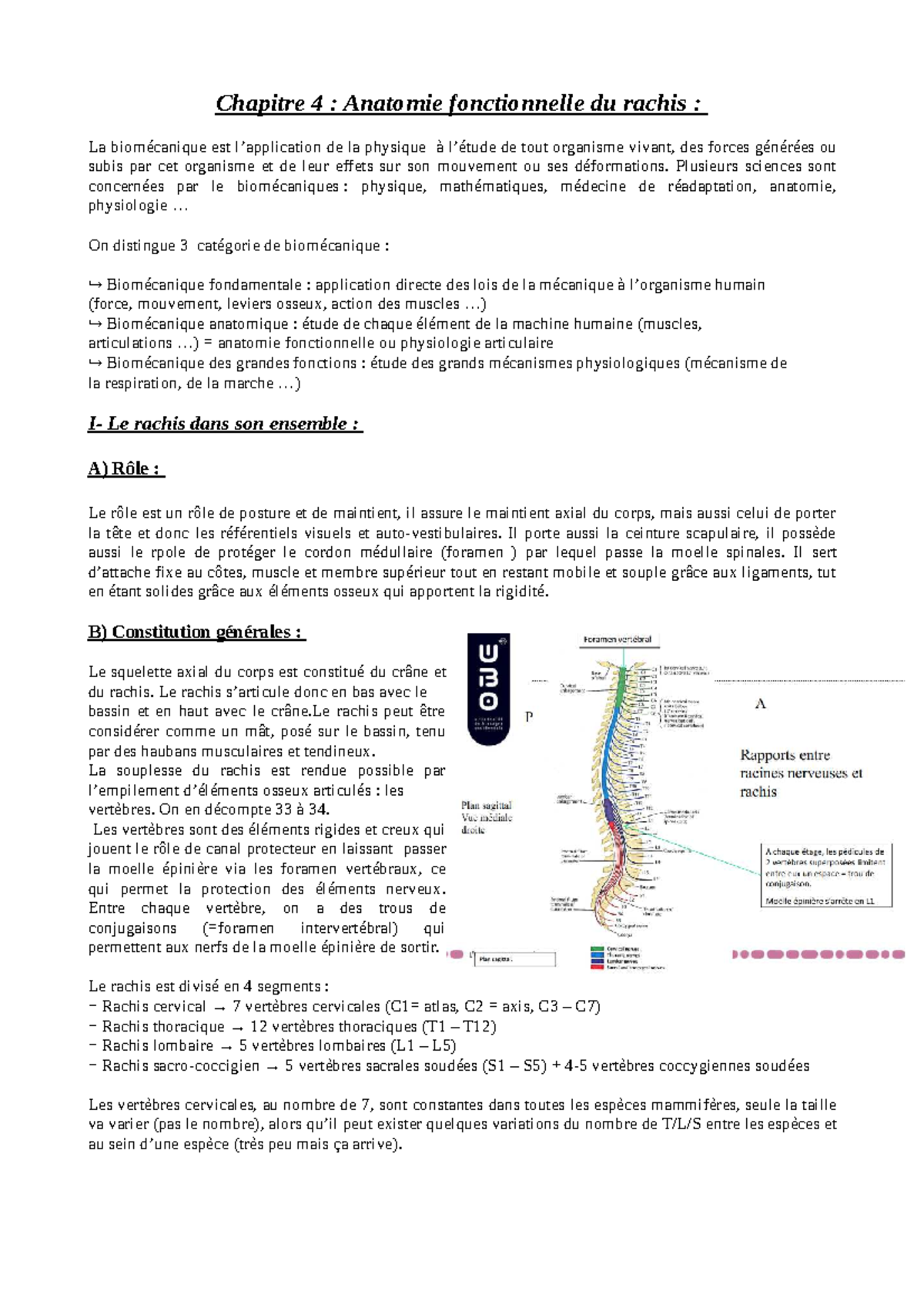 Le système rachidien - Chapitre 4 : Anatomie fonctionnelle du rachis ...