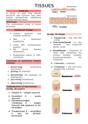 Anaphy- Reviewer-5 - Human Anatomy and Physiology with Pathophysiology ...