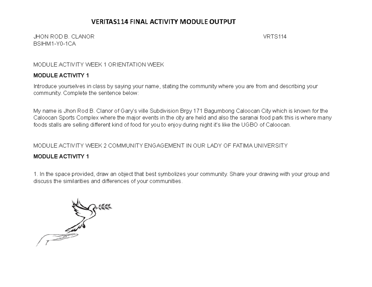 VRST114- Final- Output - JHON ROD B. CLANOR VRTS BSIHM1-Y0-1CA MODULE ...