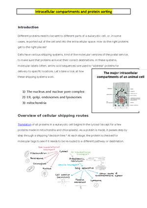 eScience Lab 6: Diffusion - Pre-Lab Questions A concentration gradient ...