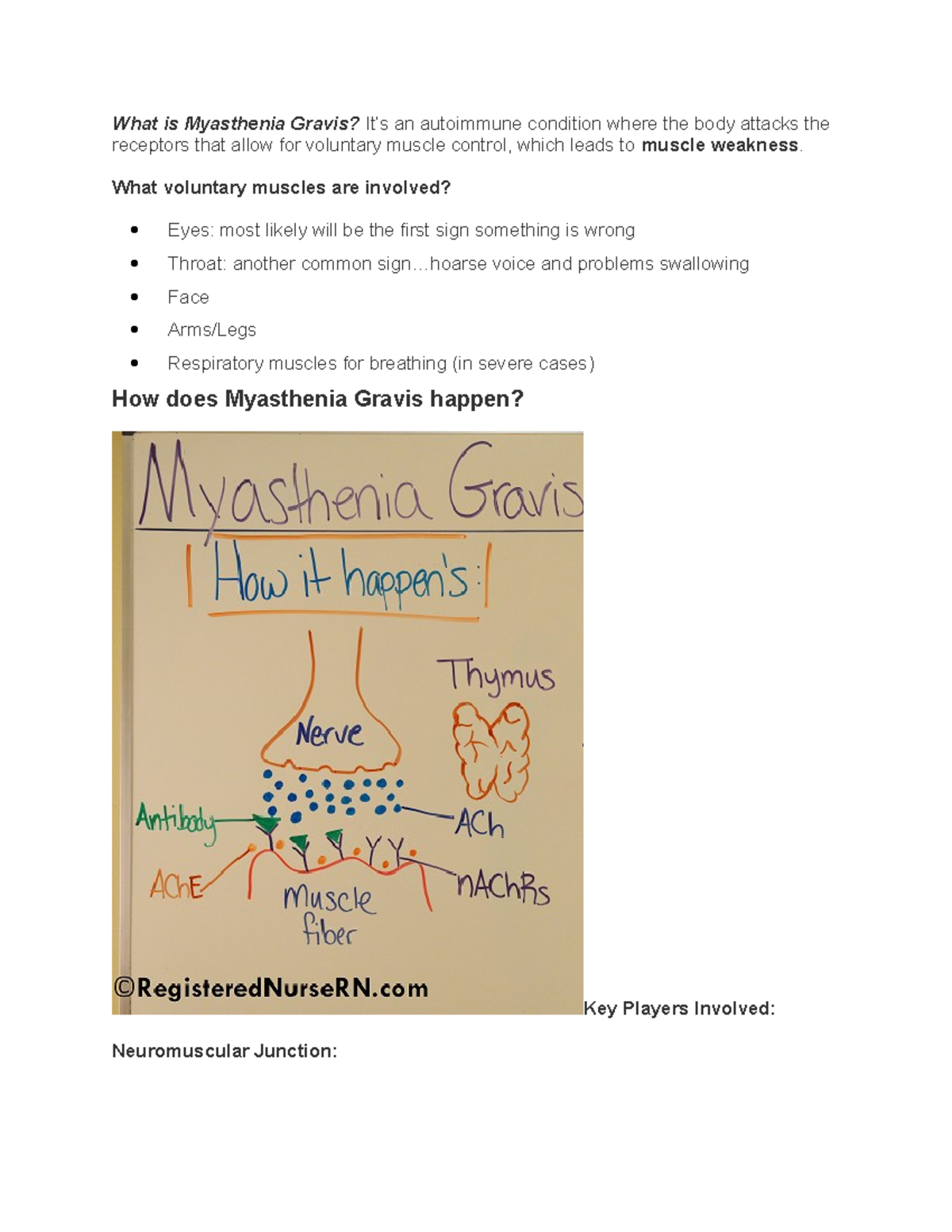 Myasthenia Gravis - ....... - What is Myasthenia Gravis? It’s an ...