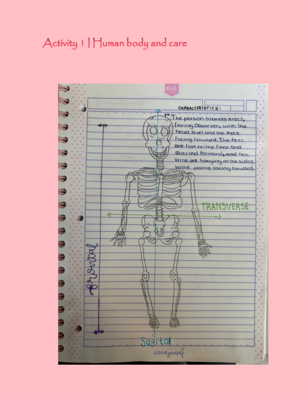 Activity 1 I Human body and care - The feer are flat on the floor and ...