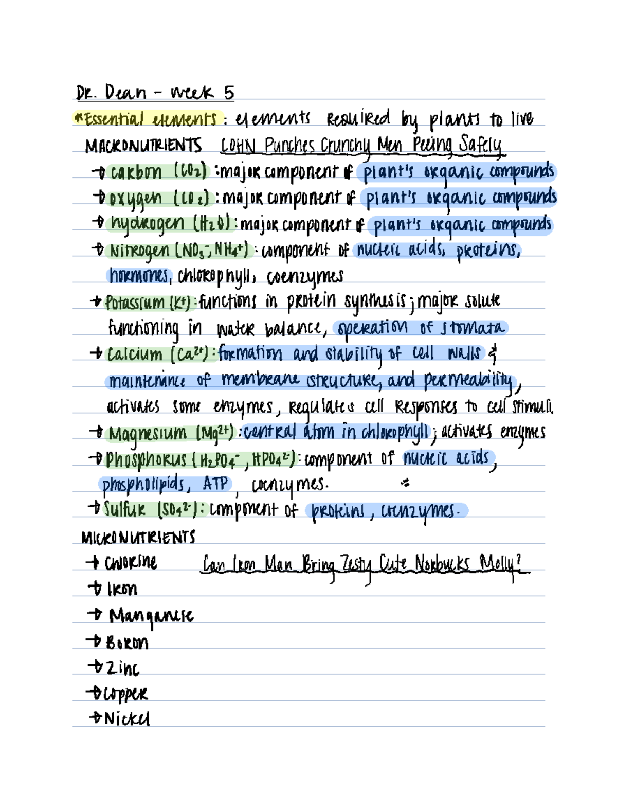Exam 2 study guide - DR Essential elements elements Reauired by plants ...