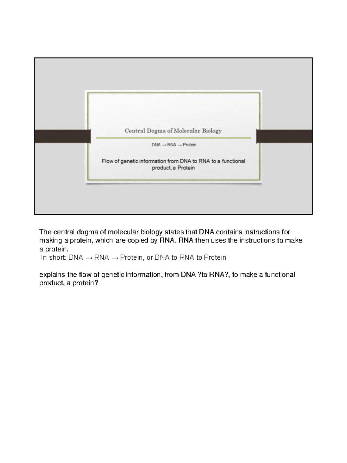 Central Dogma of Molecular Biology - The central dogma of molecular ...