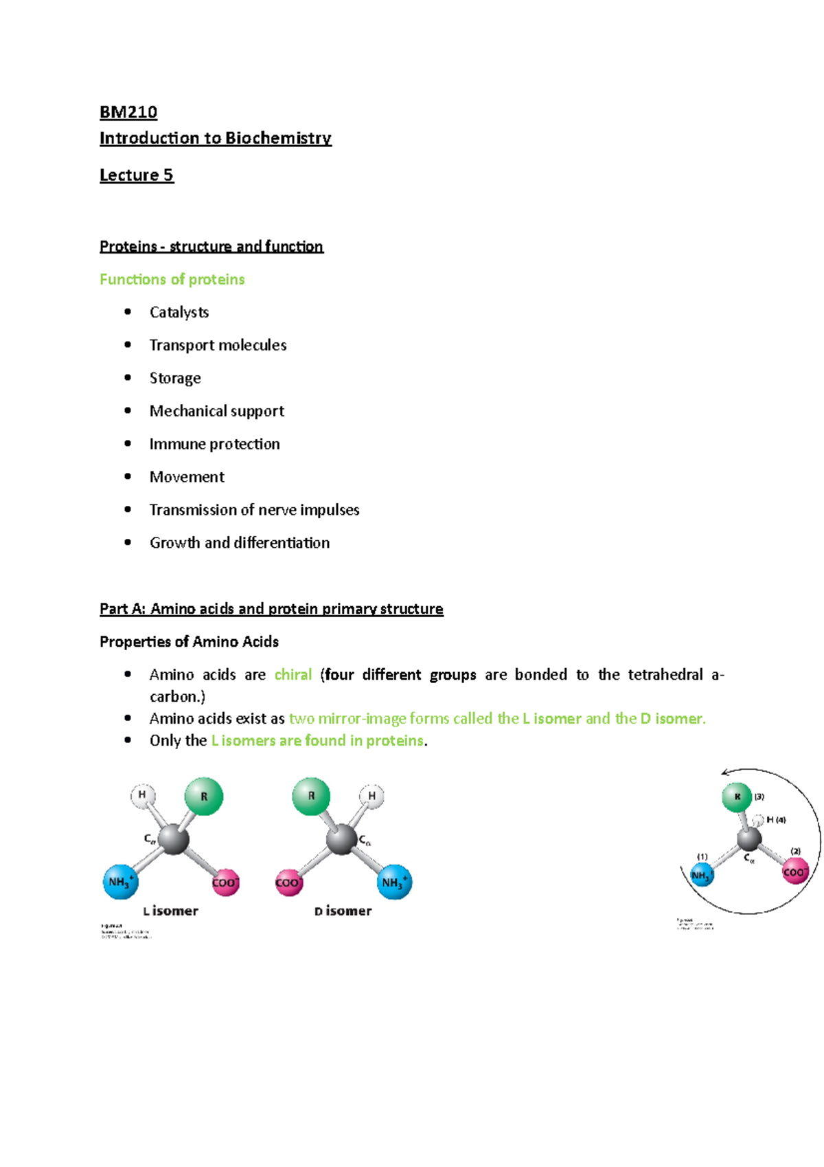 BM210 Lecture 5 - BM210 - Strath - Studocu