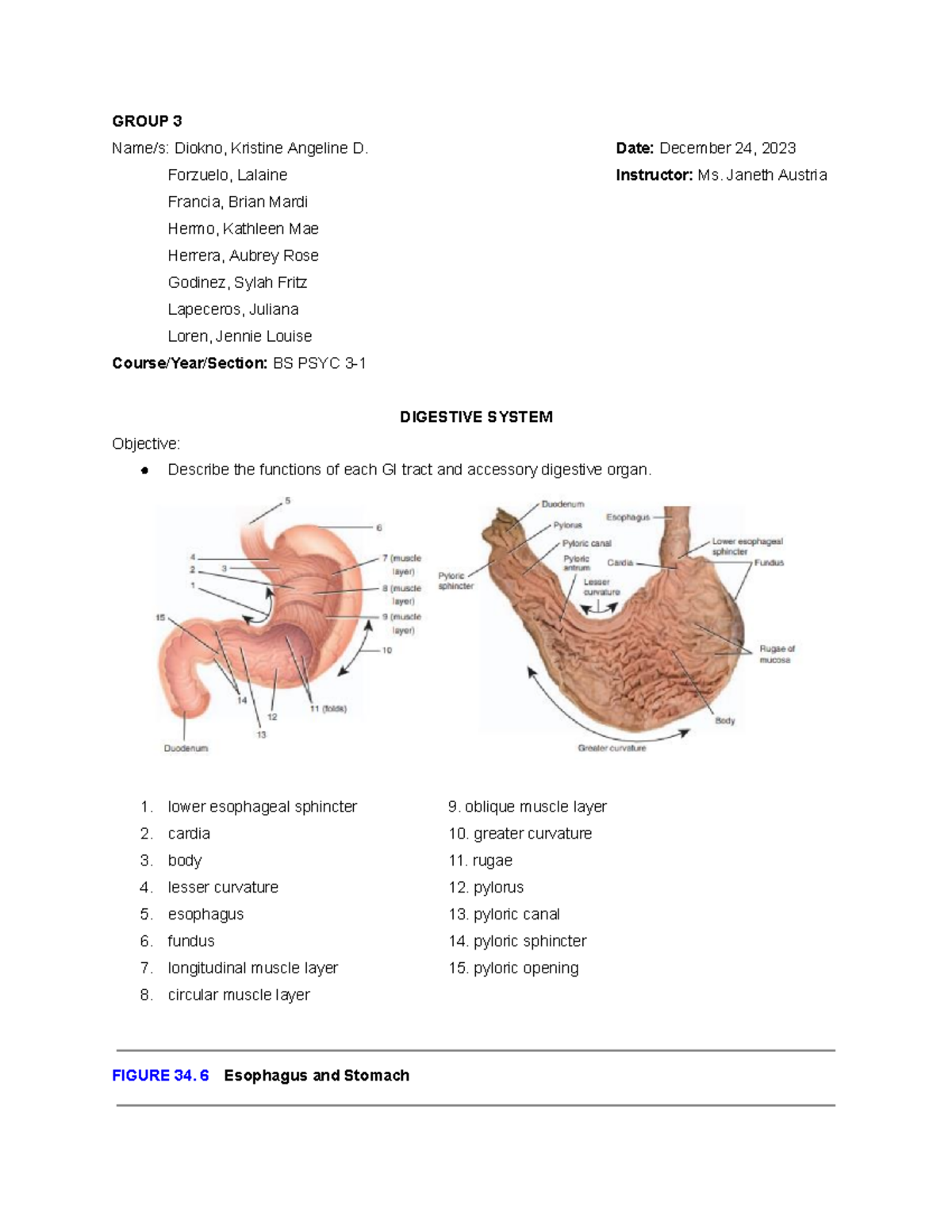 Digestive System Labsheet - GROUP 3 Name/s: Diokno, Kristine Angeline D ...