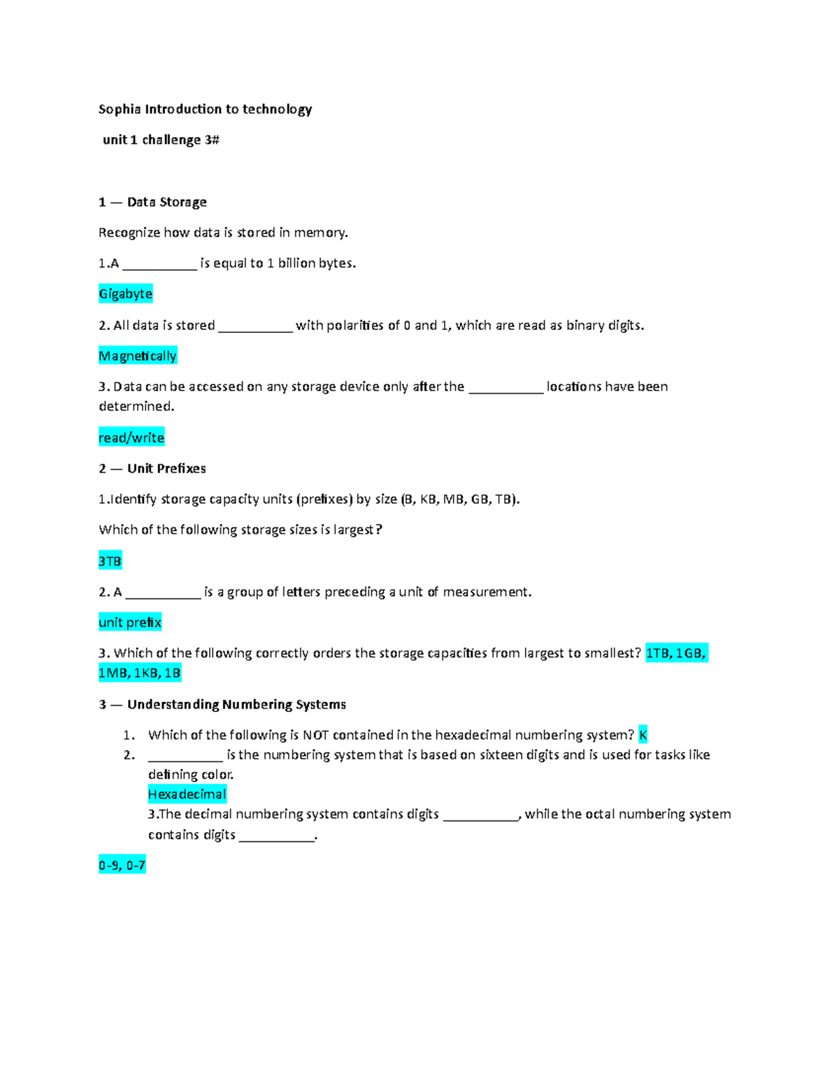 Sophia Introduction To Technology Course 2022 Unit 1 challenge 3