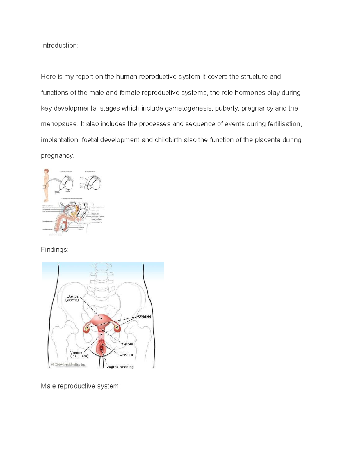 Structures and Functions of Male and Female Reproductive Systems ...