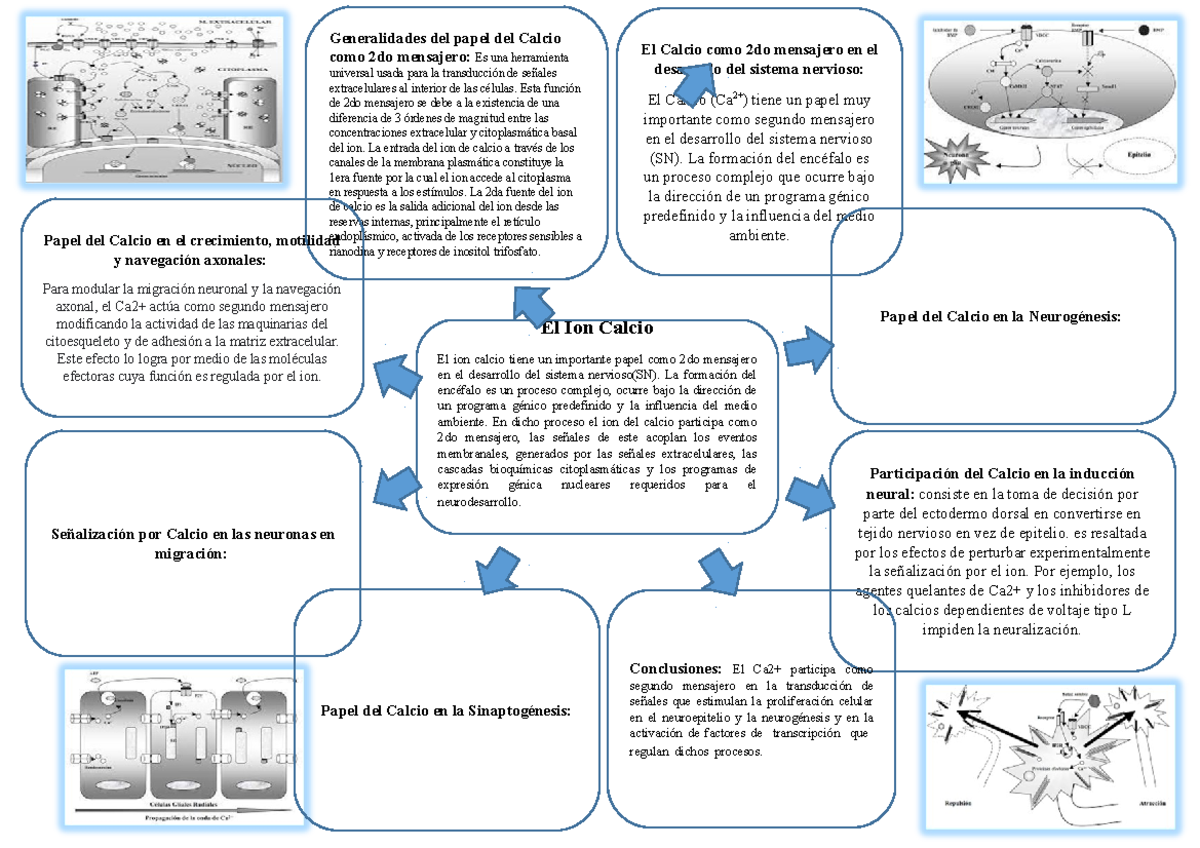 Tarea Semana 10 - MAPA Conceptual - Biologia Celular Avance - El Ion ...