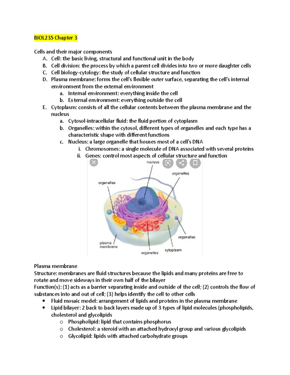 BIOL235 Chapter 3 Notes - BIOL235 Chapter 3 Cells and their major ...