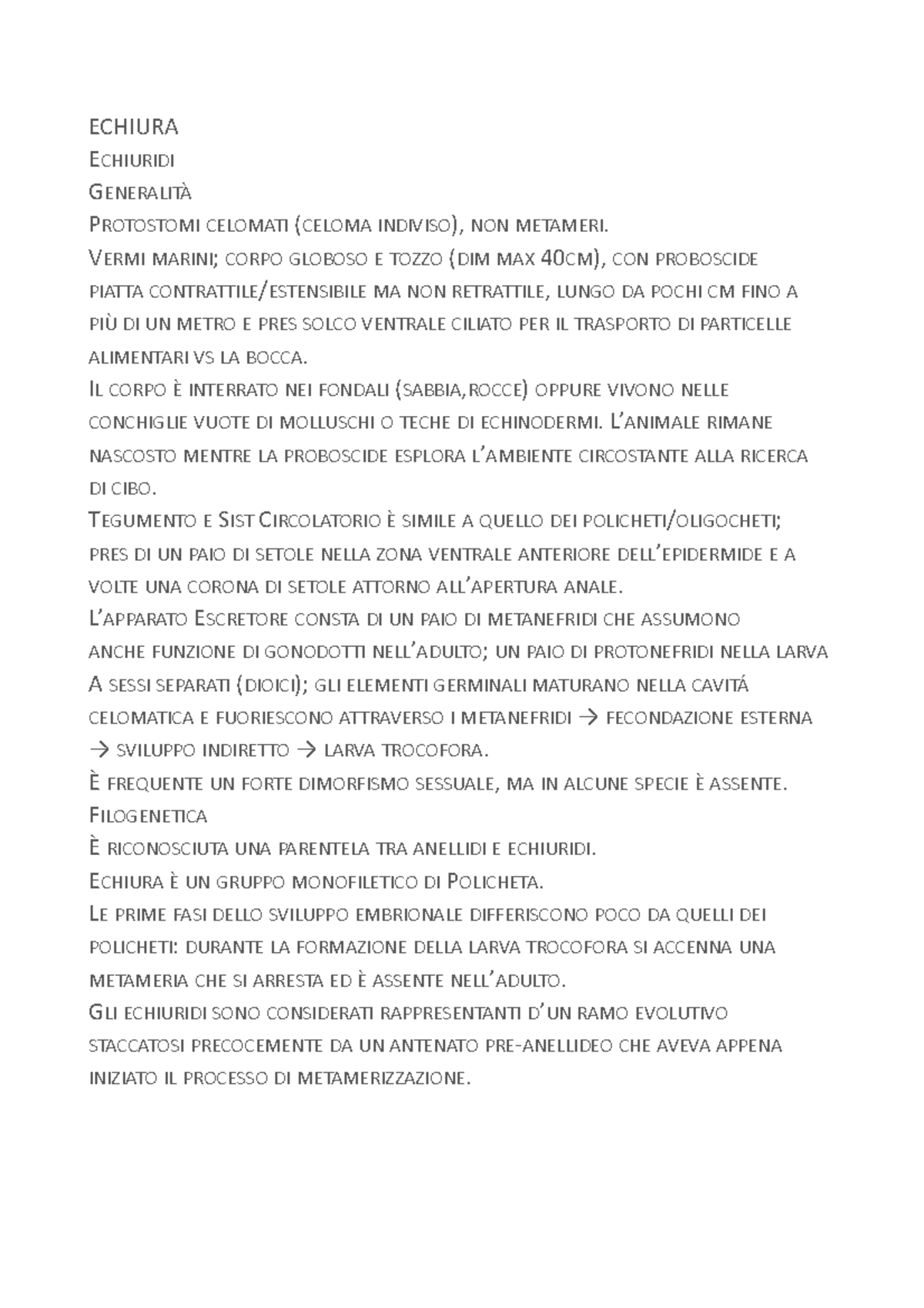 Echiura - relazione per la tesina - ECHIURA ECHIURIDI GENERALITÀ ...