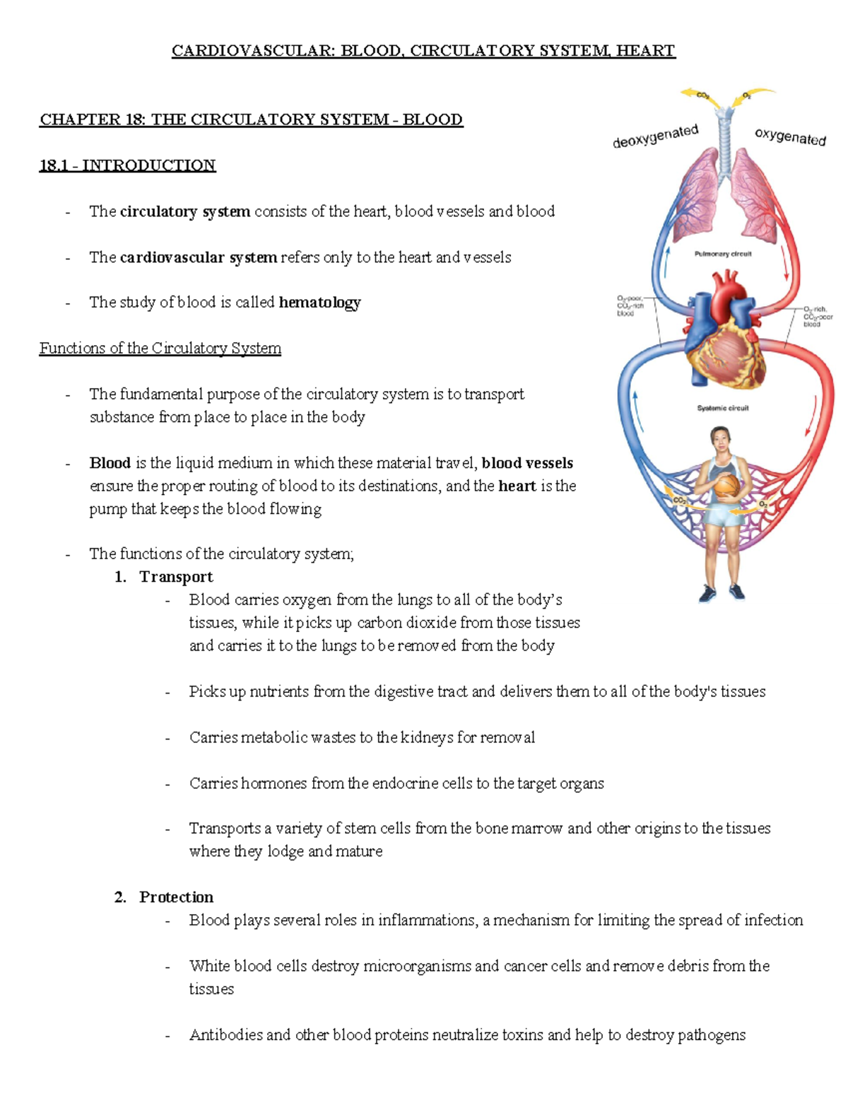 Cardiovascular Blood Circulatory System Heart - CARDIOVASCULAR: BLOOD ...