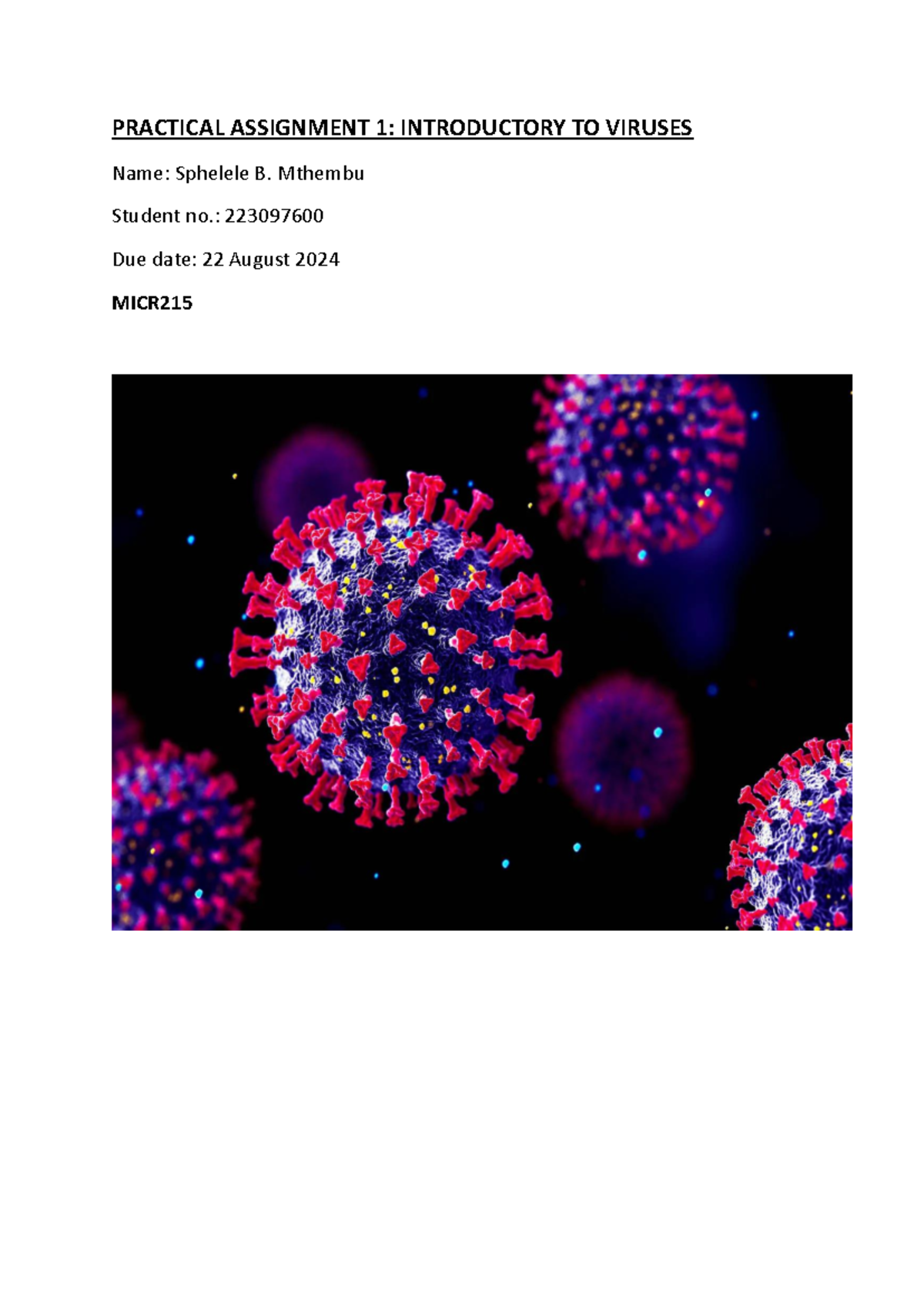 Practical Assignment 1 - PRACTICAL ASSIGNMENT 1: INTRODUCTORY TO ...