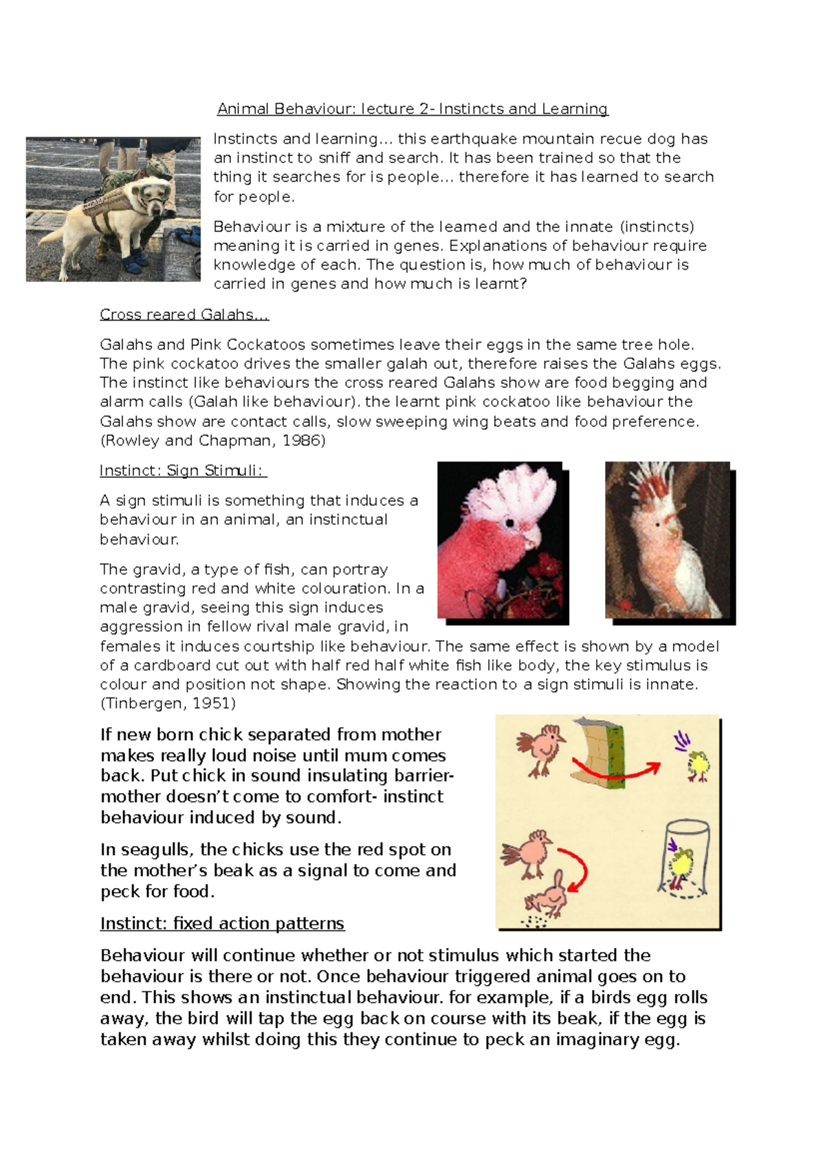 Instincts and learning - Animal Behaviour: lecture 2- Instincts and ...