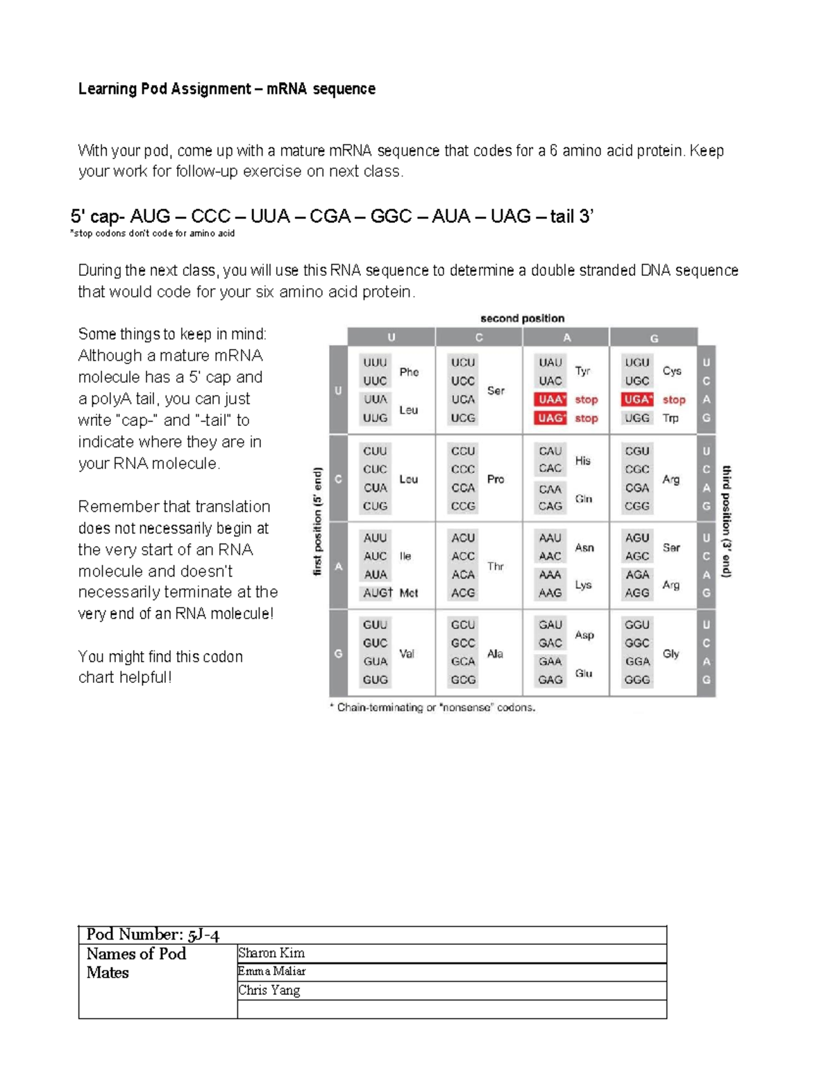 09-Learning Pod -m RNA sequence - Learning Pod Assignment – mRNA ...