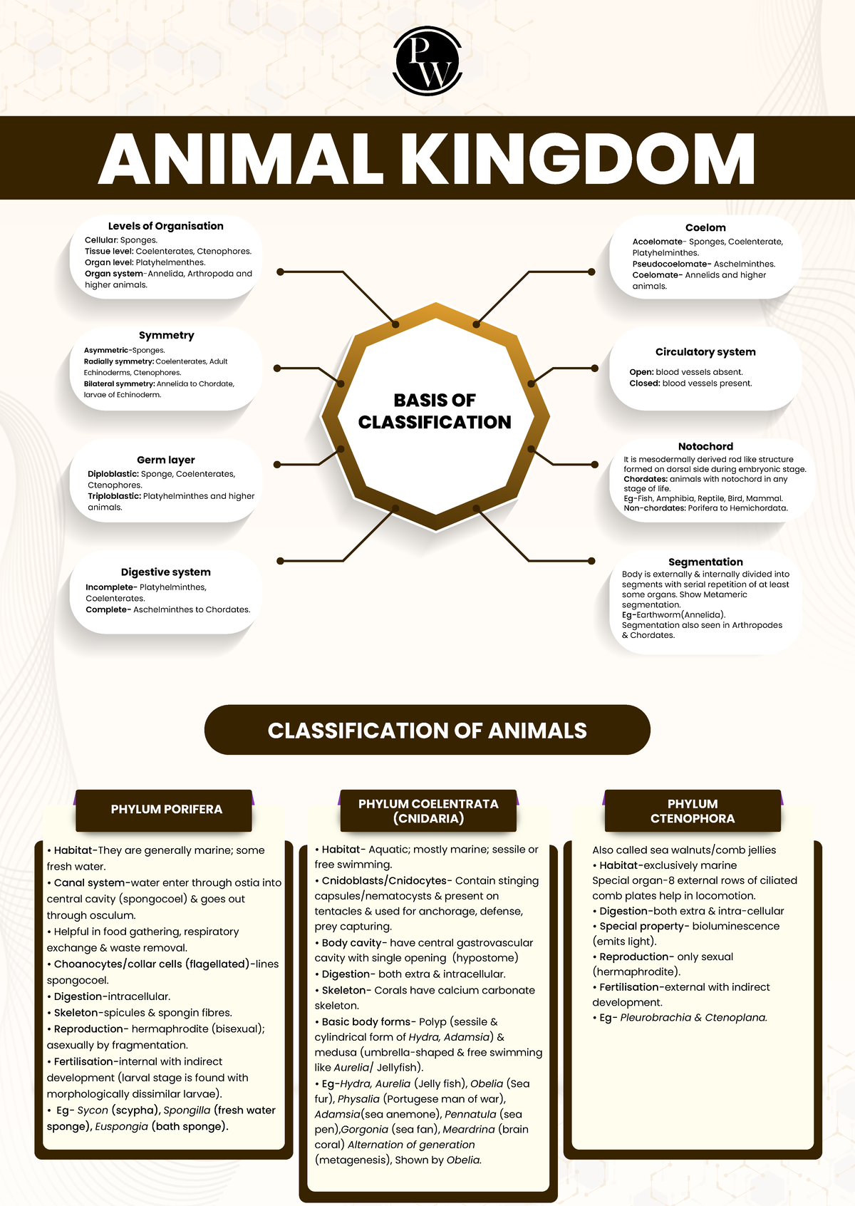 Animal Kingdom Mind Maps - ANIMAL KINGDOM Levels of organisation Coelom ...