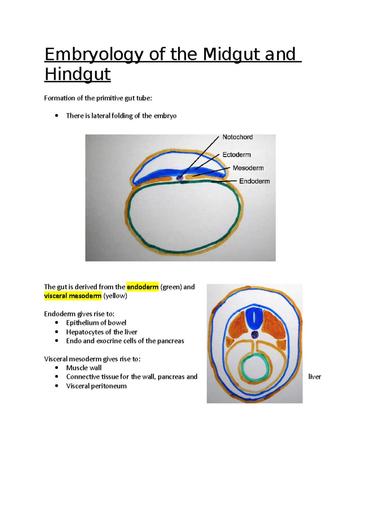 Embryology of the Midgut and Hindgut - Embryology of the Midgut and ...