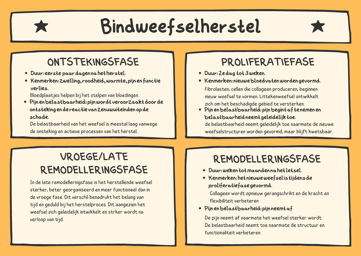Infographic Bindweefselherstel - VROEGE/LATE REMODELLERINGSFASE In de ...