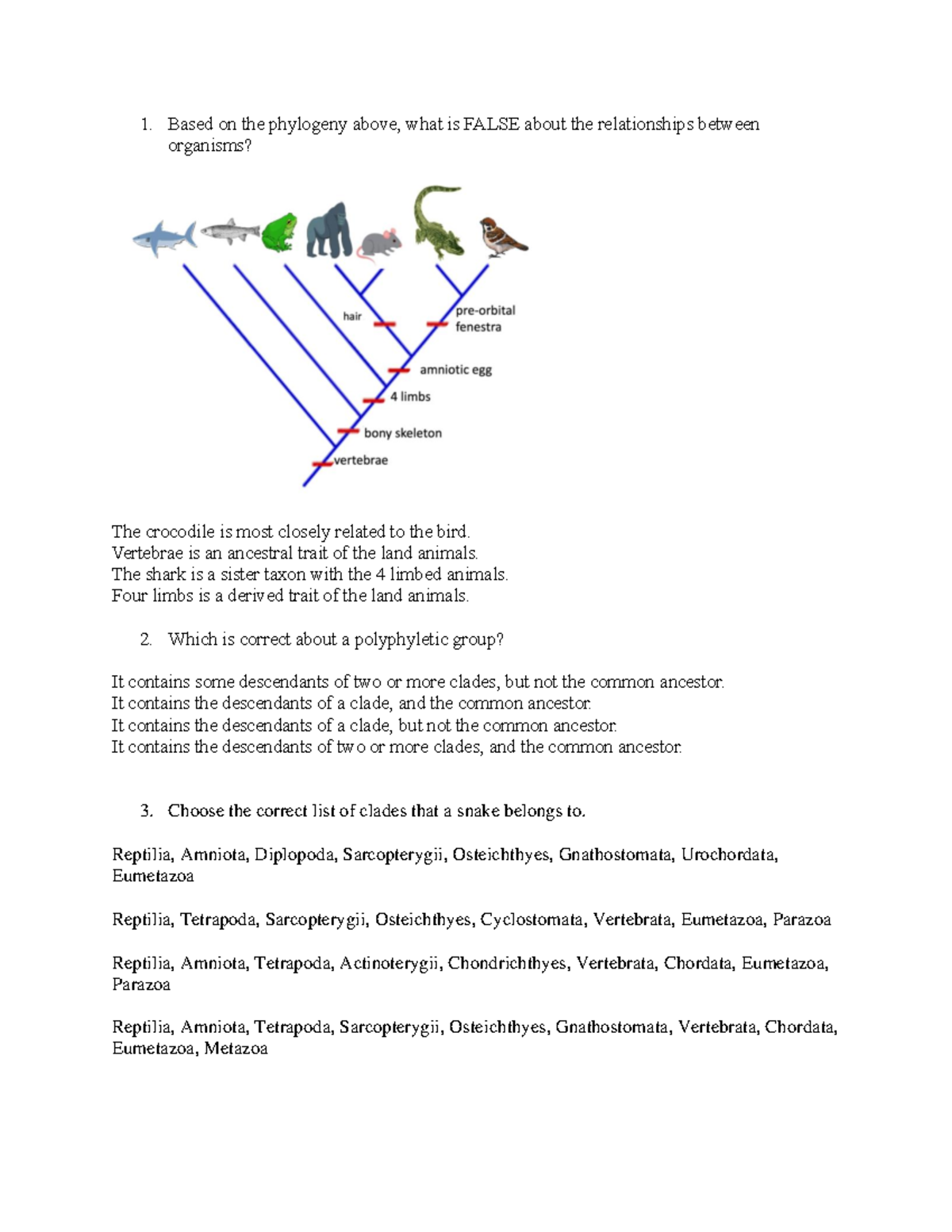 Quiz1 Questions - BIOL 1030 Summer 2024 - Based on the phylogeny above ...