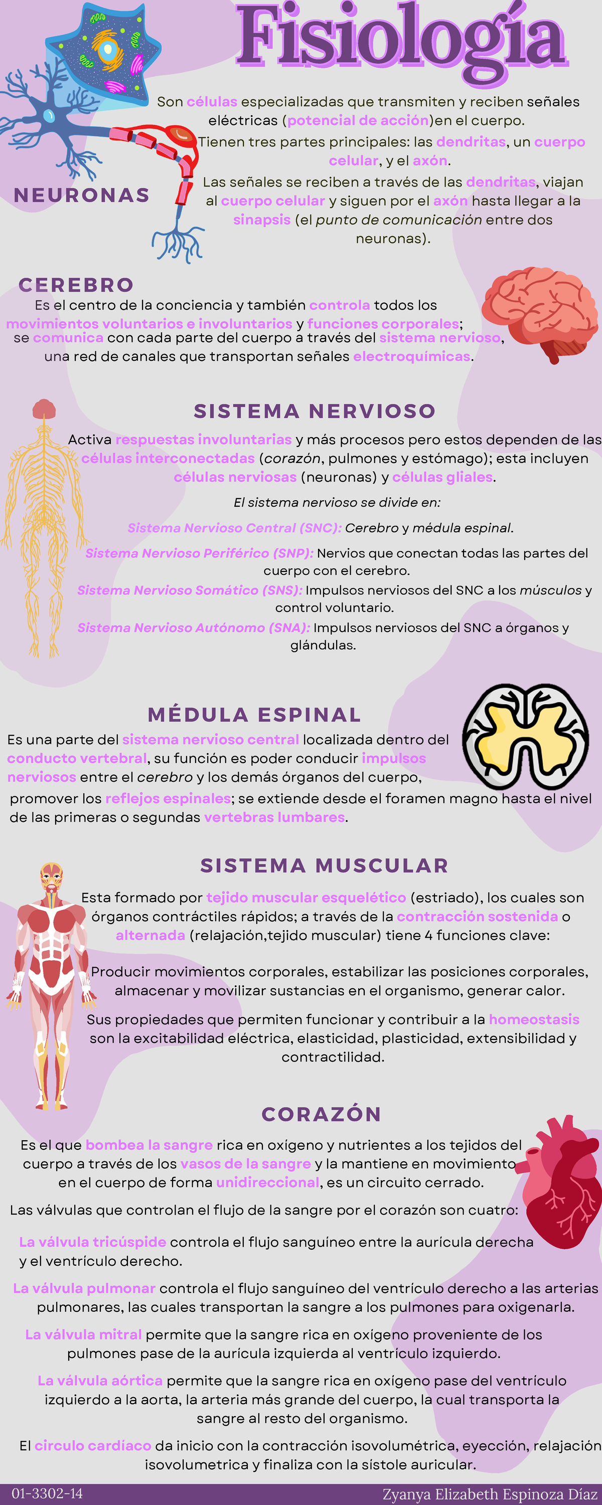 Lo que abarca la fisiología parte 2 - FisiologíaFisiologíaFisiología Son células especializadas ...