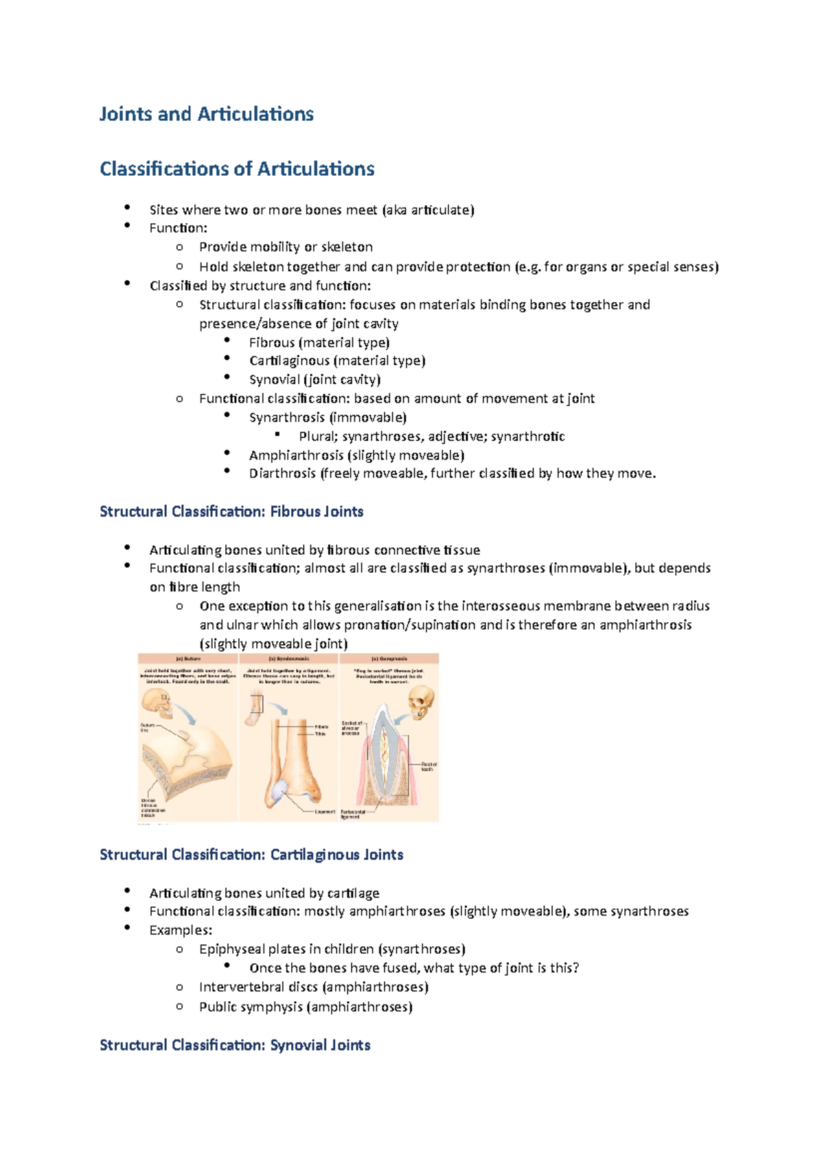 Joints and Articulations - Joints and Articulations Classifications of ...