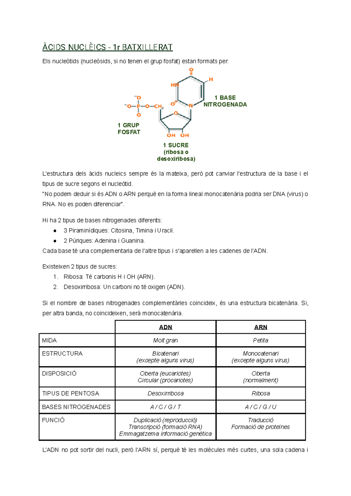 Apunts Àcids Nuclèics (1r BATX) - ÀCIDS NUCLÈICS - 1r BATXILLERAT Els nucleòtids (nucleòsids, si ...