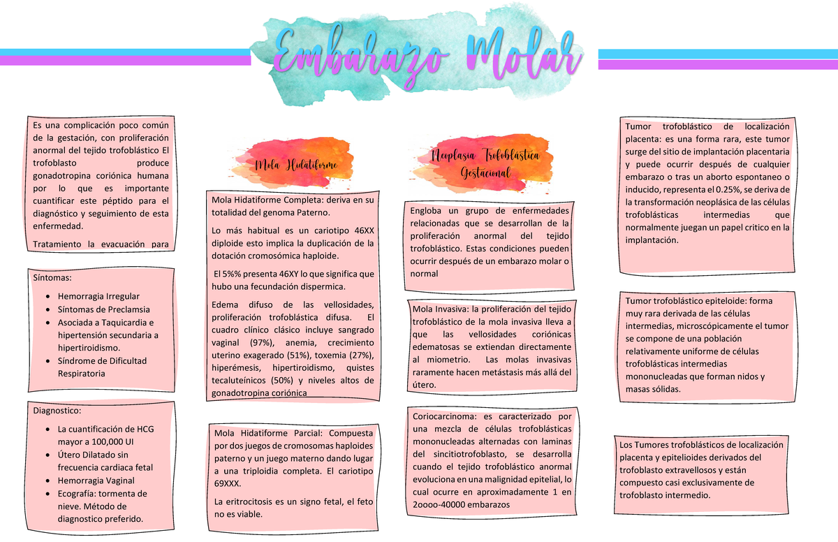 Embarazo Molar - Resumen - Mola Hidatiforme Completa: deriva en su ...