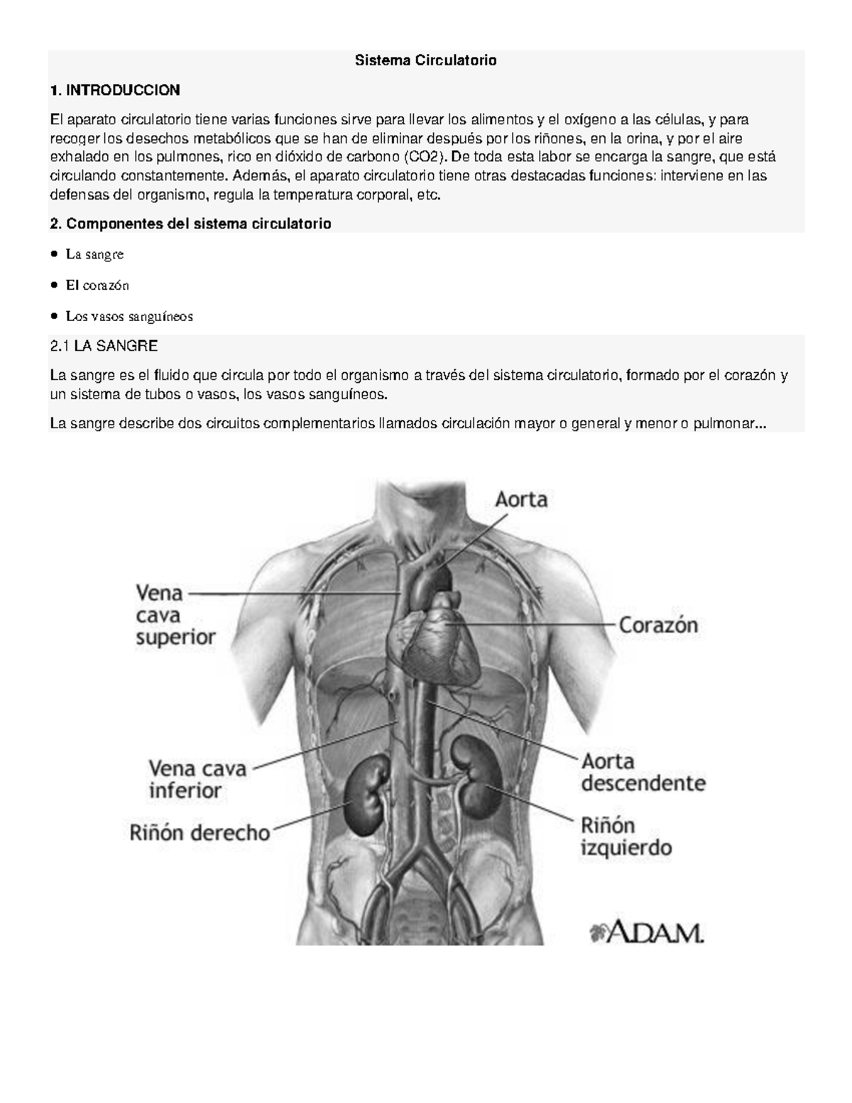 Sistema-Circulatorio-2017 - Warning: TT: undefined function: 32 Sistema Circulatorio ...