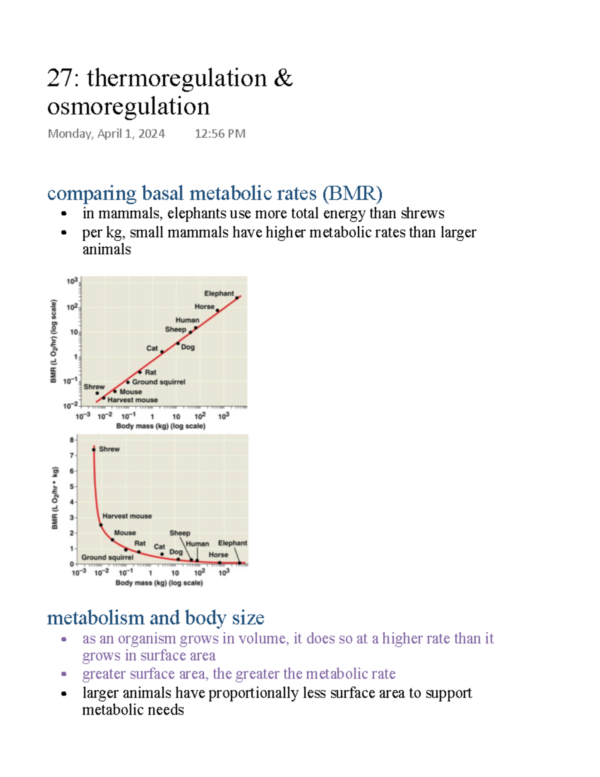 UVA BIOL 2200 Lesson 27 - Thermoregulation & Osmoregulation - comparing ...