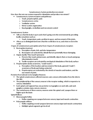 Chapter 3 - The development of the brain mainly changes in a bottom-up ...