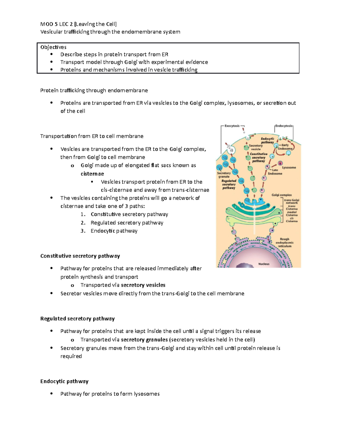 Biology 2b03 Module 5 Lecture 2 Vesicular Trafficking Through The Endomembrane System